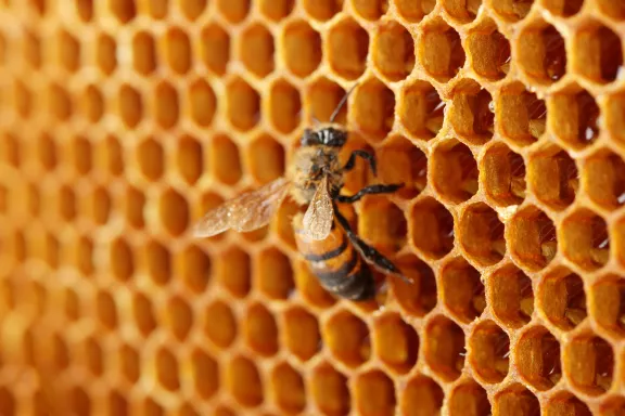 DataBee About Us | Comcast Technology Solutions DataBee About Us | Comcast Technology Solutions